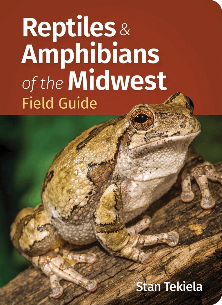 Reptiles & Amphibians of the Midwest Field Guide - Stan Tekiela ...